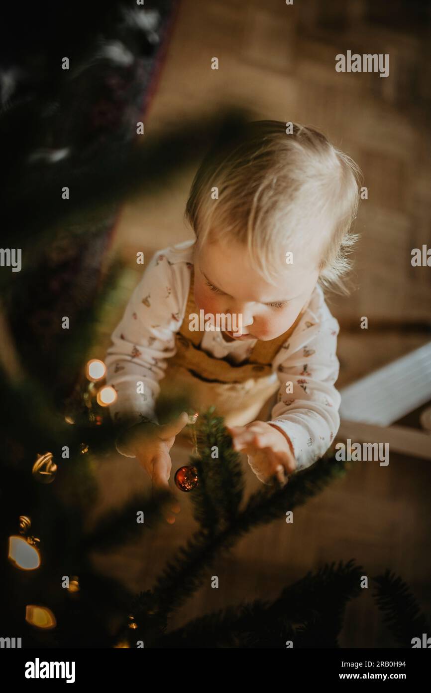 They decorate the tree hi-res stock photography and images - Alamy