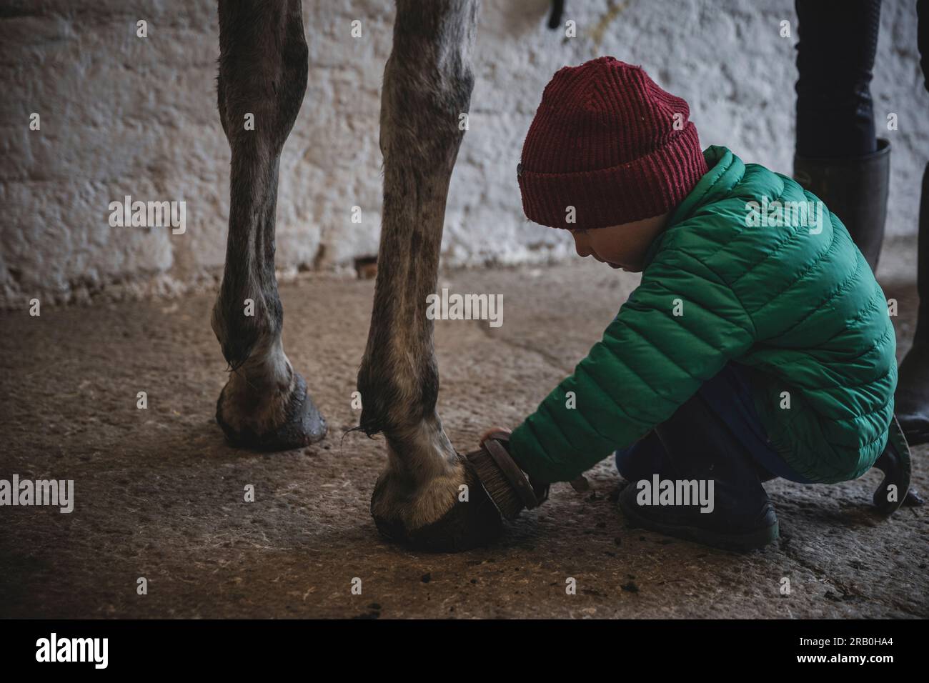 Boy with horse in stable Stock Photo - Alamy
