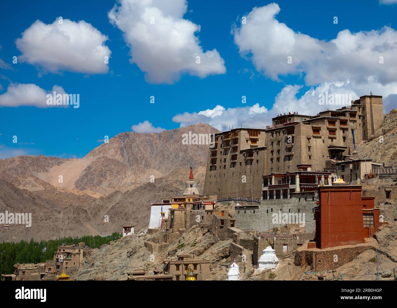 Namgyal Tsemo Monastery, Ladakh, Leh, India Stock Photo - Alamy