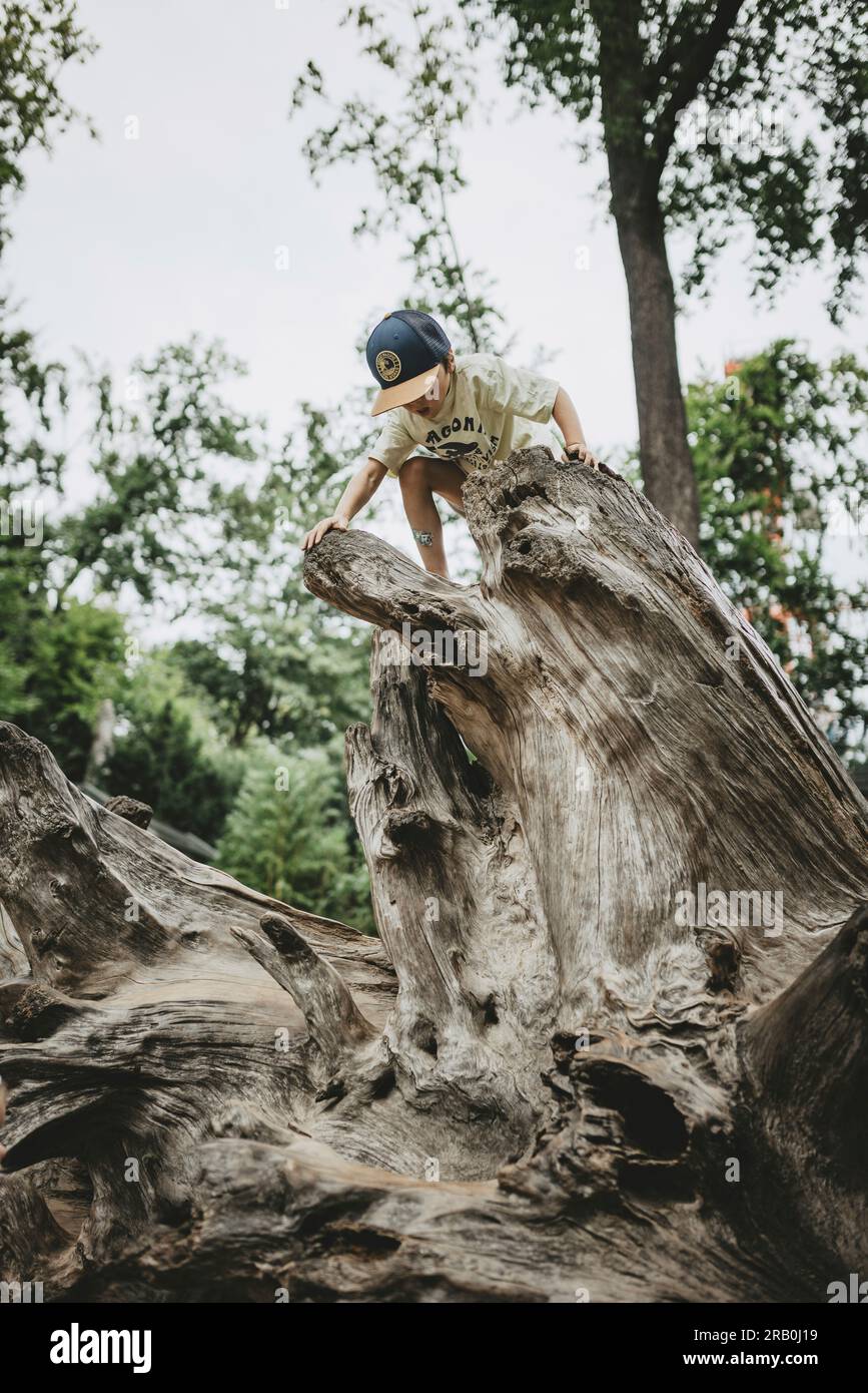 Boy climbing on a tree trunk in the forest Stock Photo - Alamy
