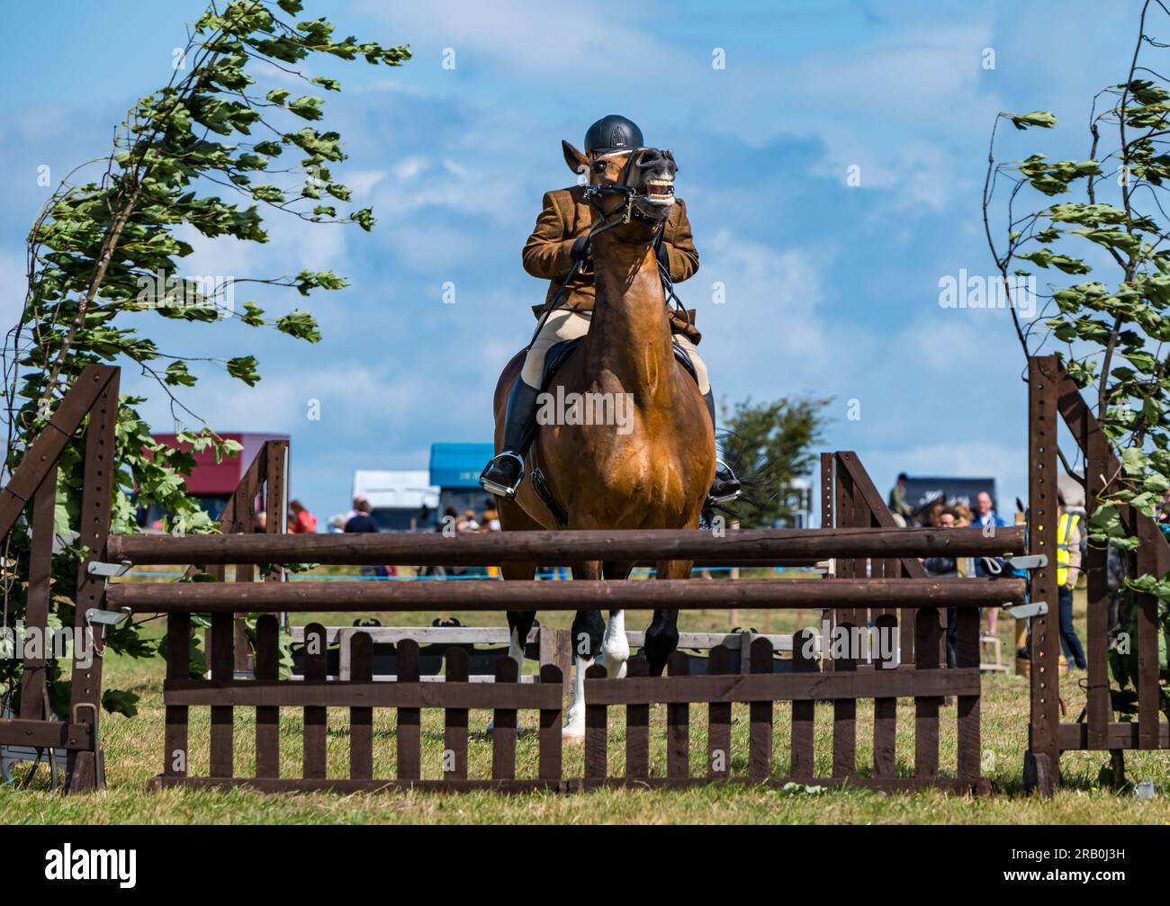 Man riding horse hi-res stock photography and images - Alamy