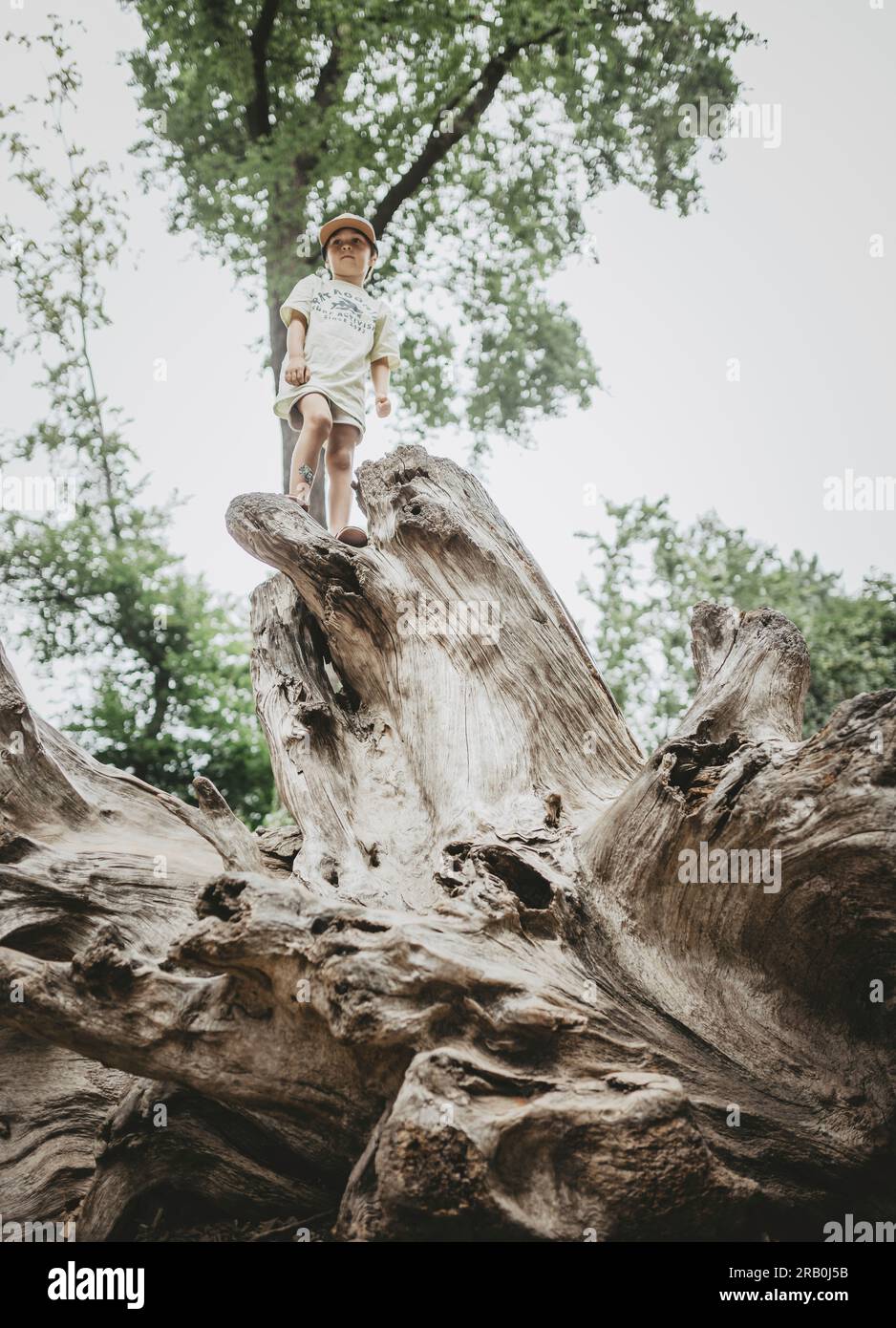 Boy climbing in a tree hi-res stock photography and images - Alamy