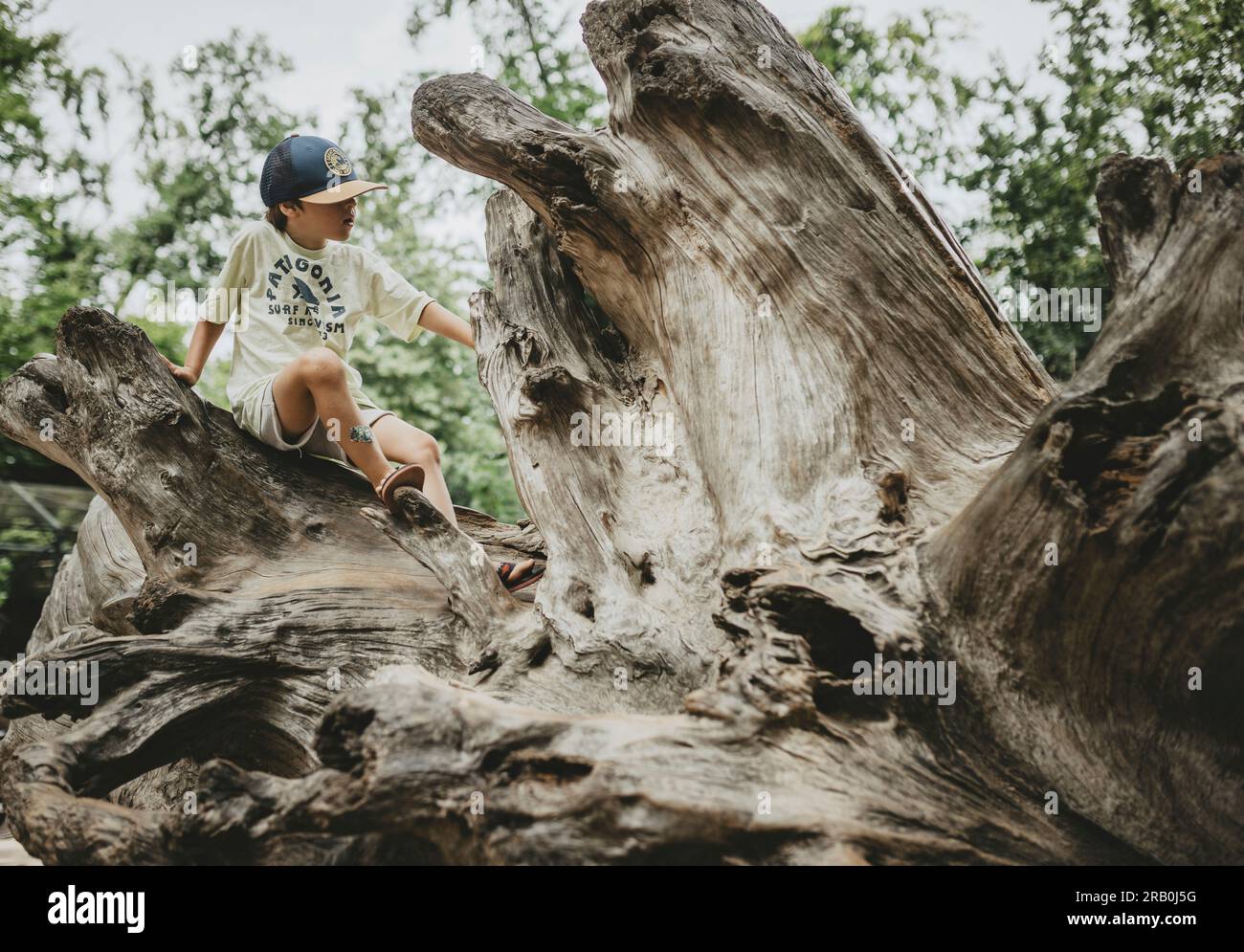 Boy climbing in a tree hi-res stock photography and images - Alamy