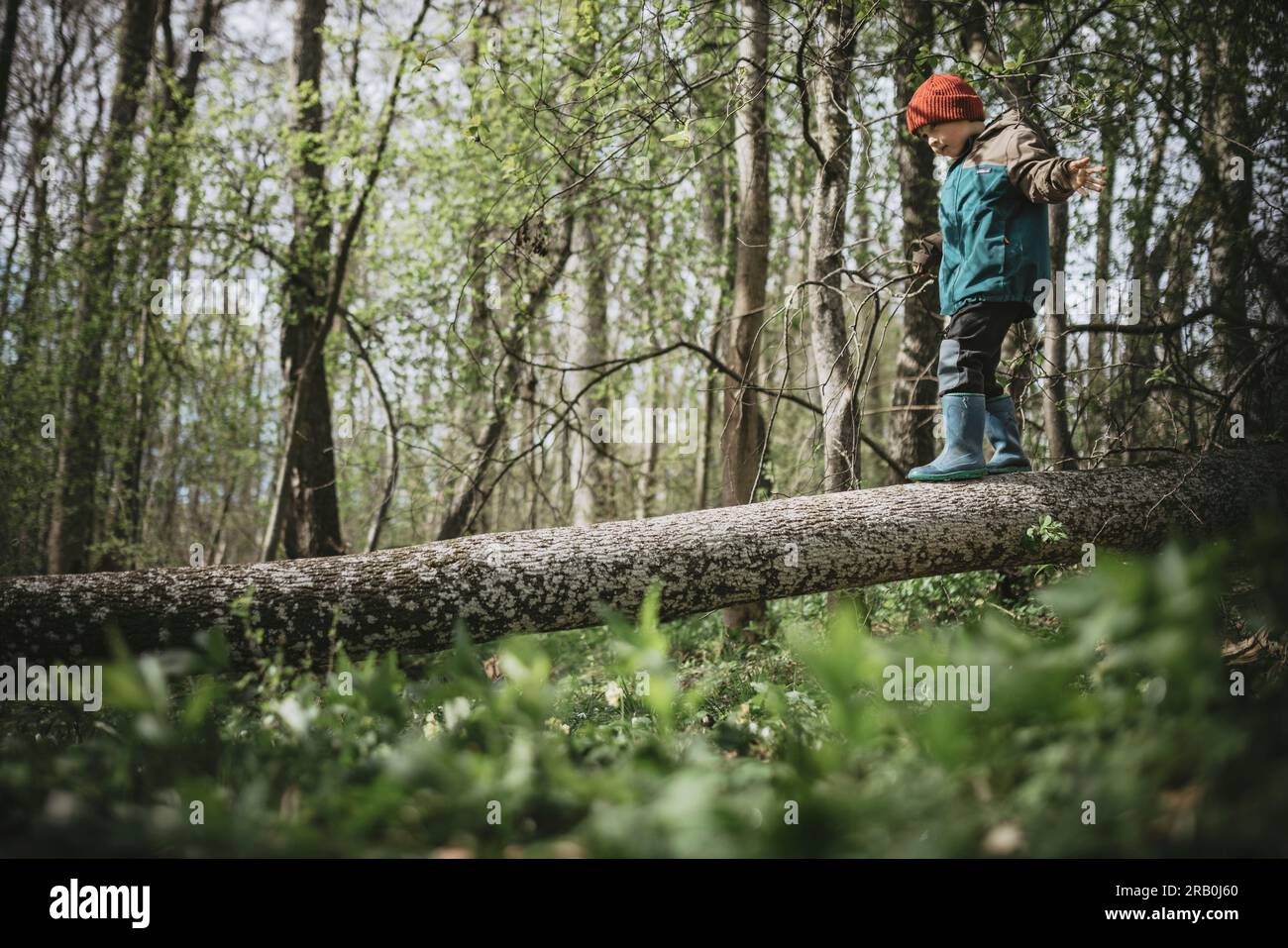 Boy walking on tree trunk hi-res stock photography and images - Alamy