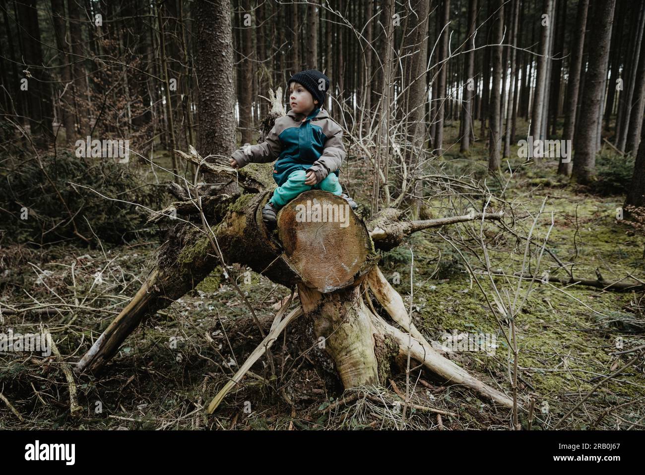 Boy climbing on a tree trunk in the forest Stock Photo - Alamy