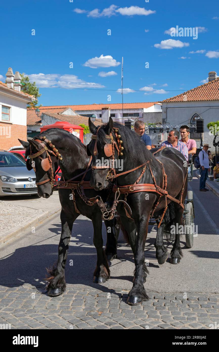 Europe, Portugal, Alentejo Region, Golega, Horse-drawn Buggy taking ...