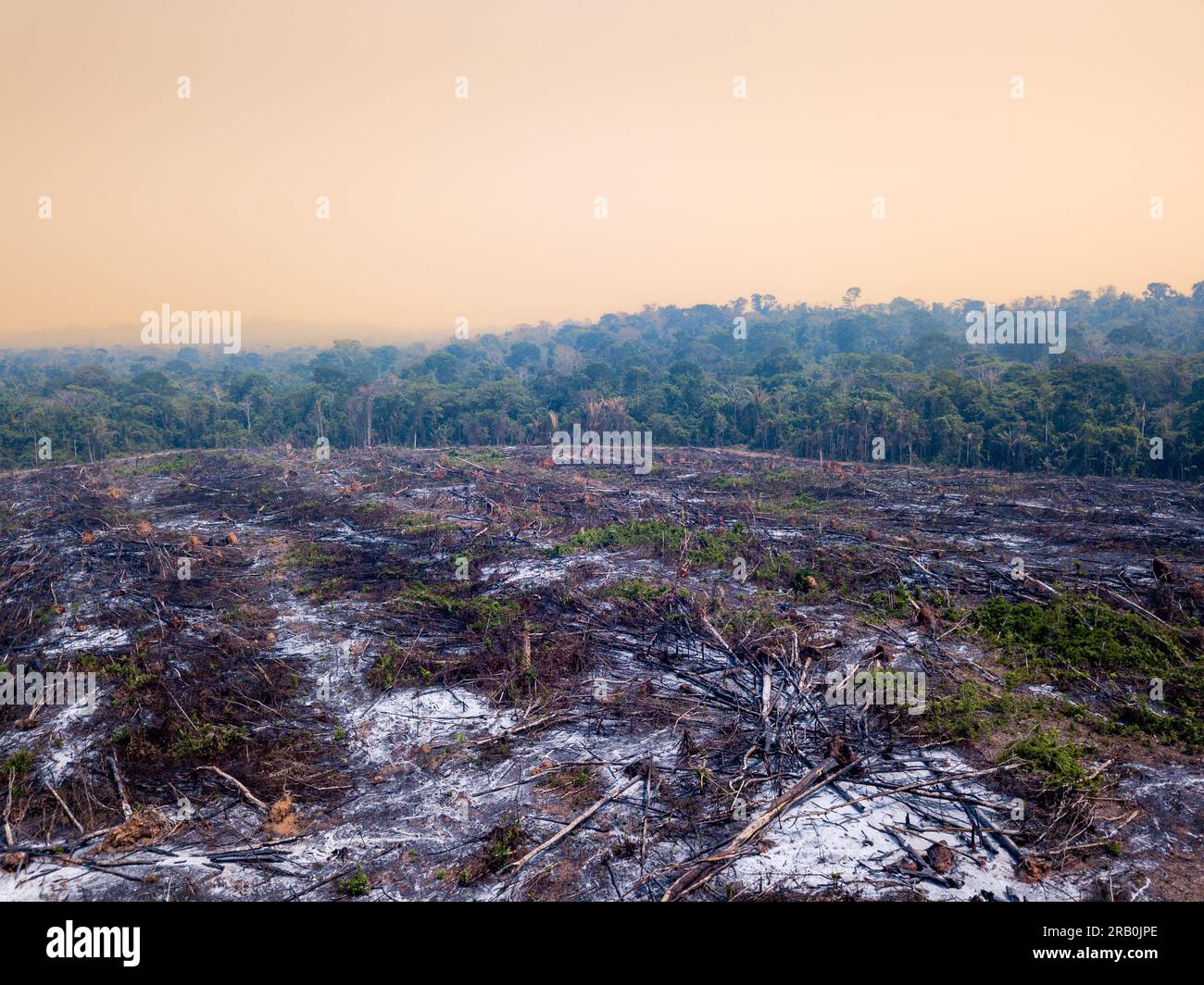 Rainforest deforestation aerial view hi-res stock photography and ...