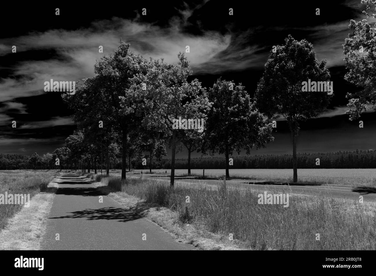 Cycle path next to a country road hi-res stock photography and images ...