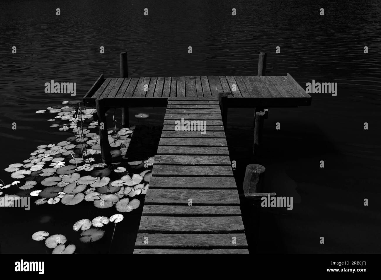 Fishing pier next to water lilies on a lake hi-res stock photography and images - Alamy