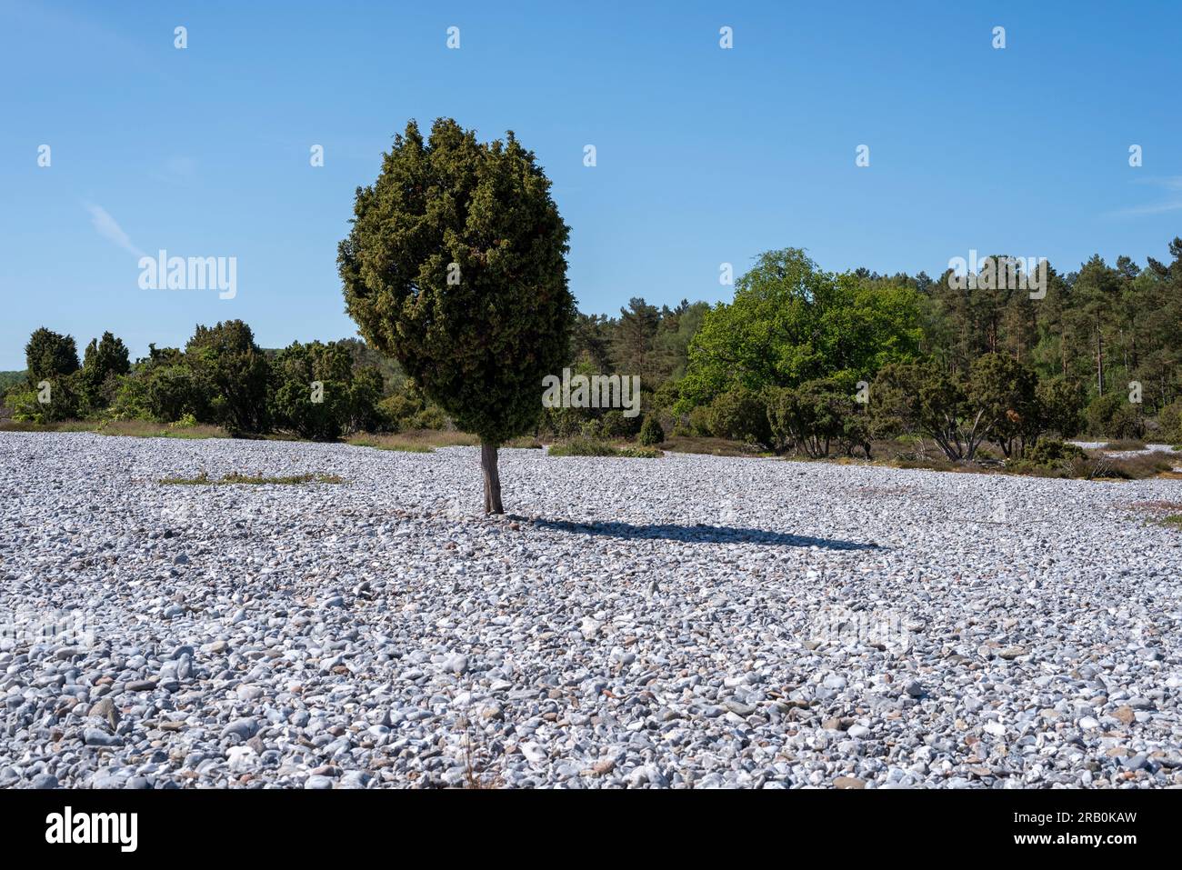 Flintfields hi-res stock photography and images - Alamy