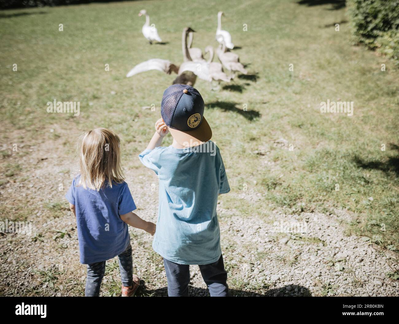Brother and sister run after geese Stock Photo - Alamy
