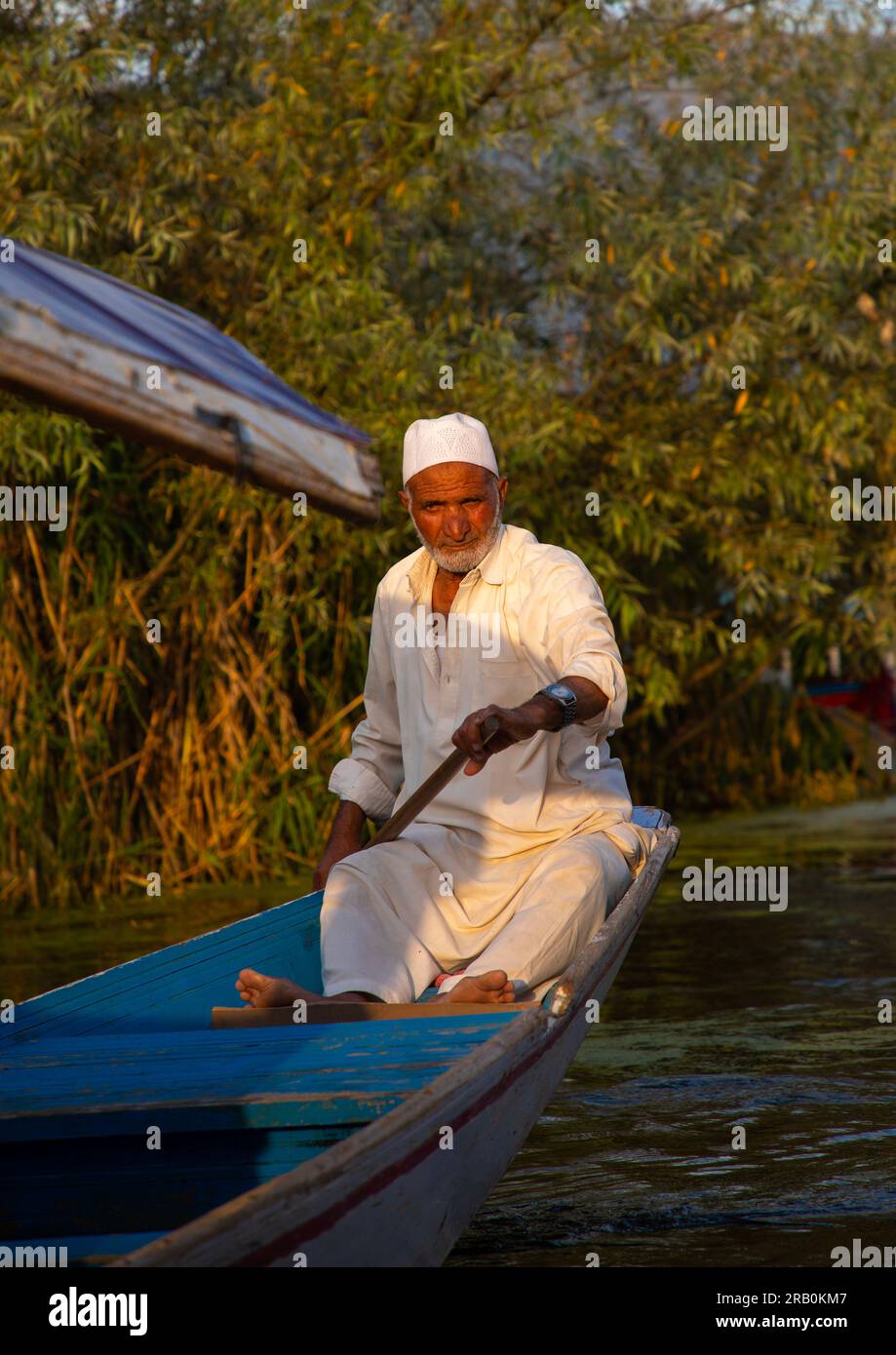 Shikara boat on Dal Lake, Jammu and Kashmir, Srinagar, India Stock ...