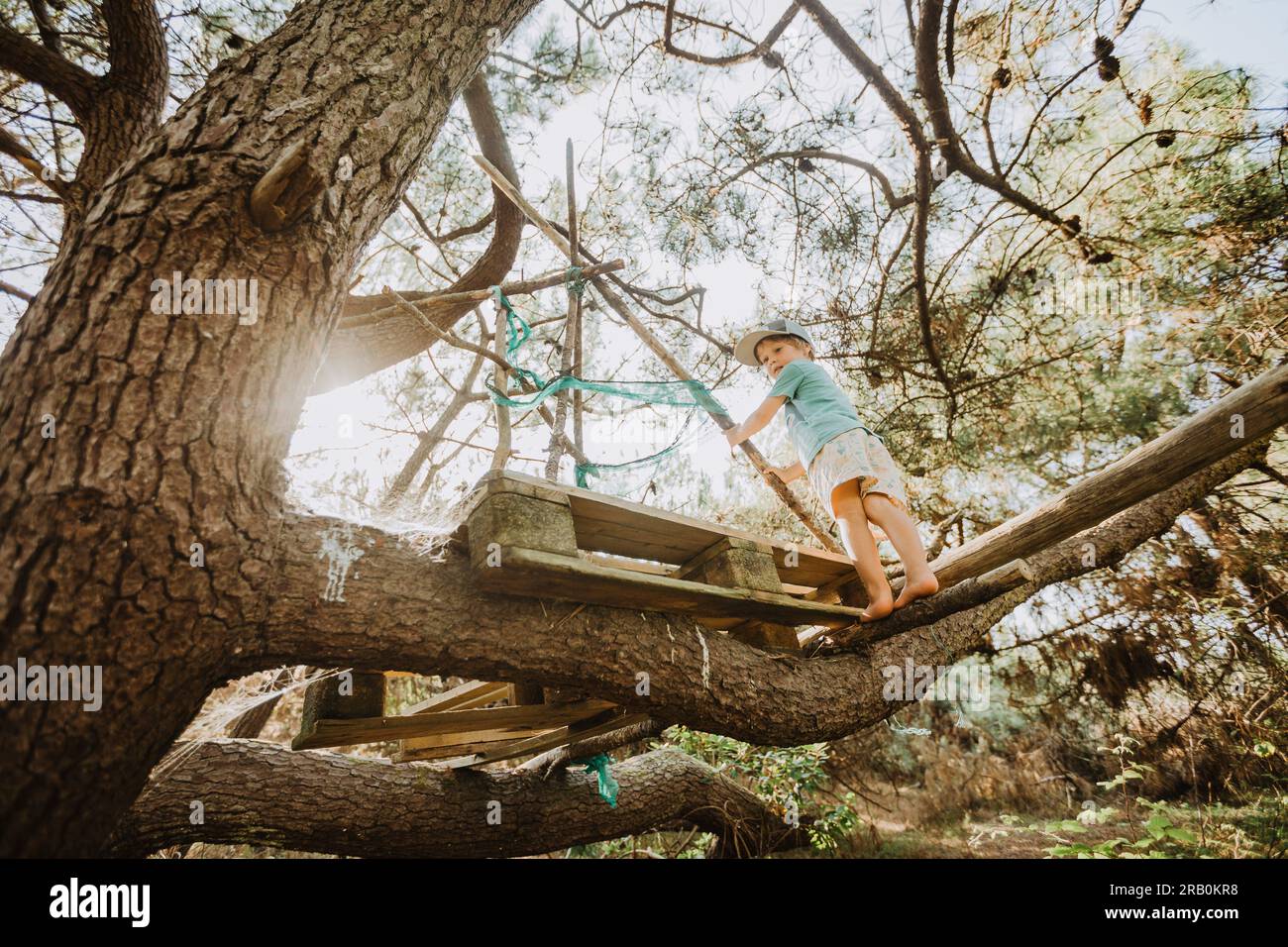 Little boy playing in tree house Stock Photo - Alamy