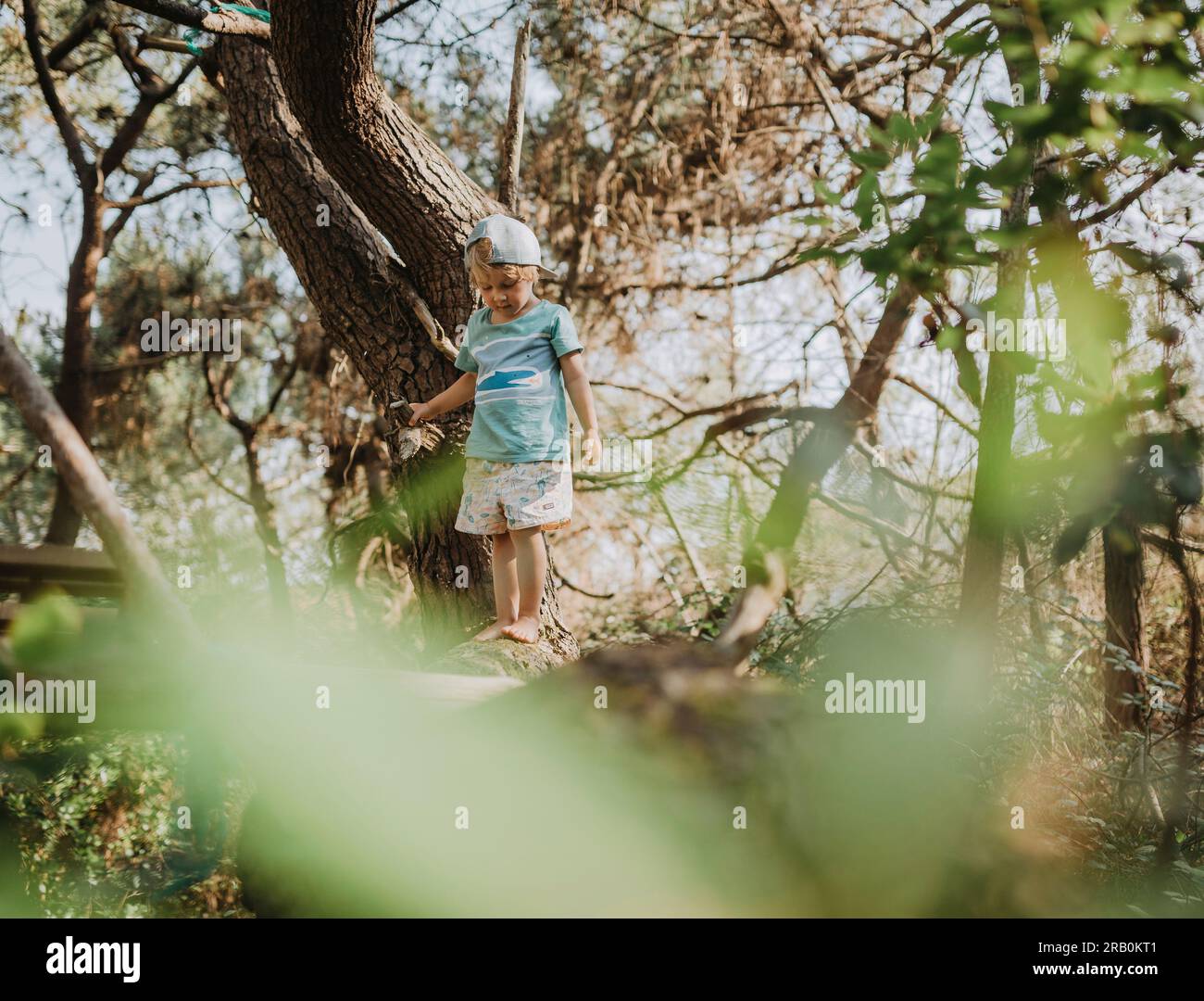 Playing with tree hi-res stock photography and images - Alamy