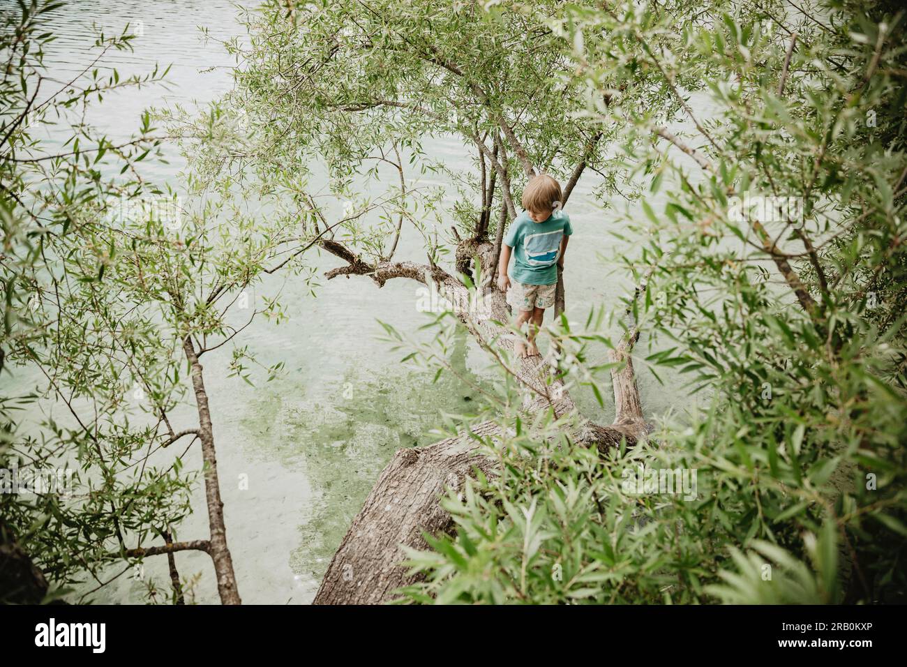 Boy climbing a tree Stock Photo - Alamy