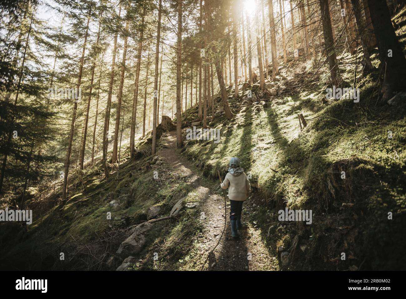 Little boy in forest Stock Photo - Alamy