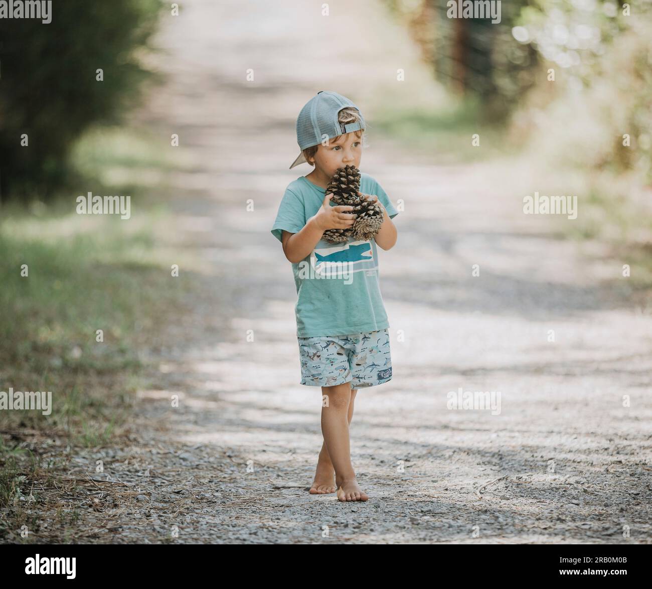Little boy with pine cone Stock Photo - Alamy