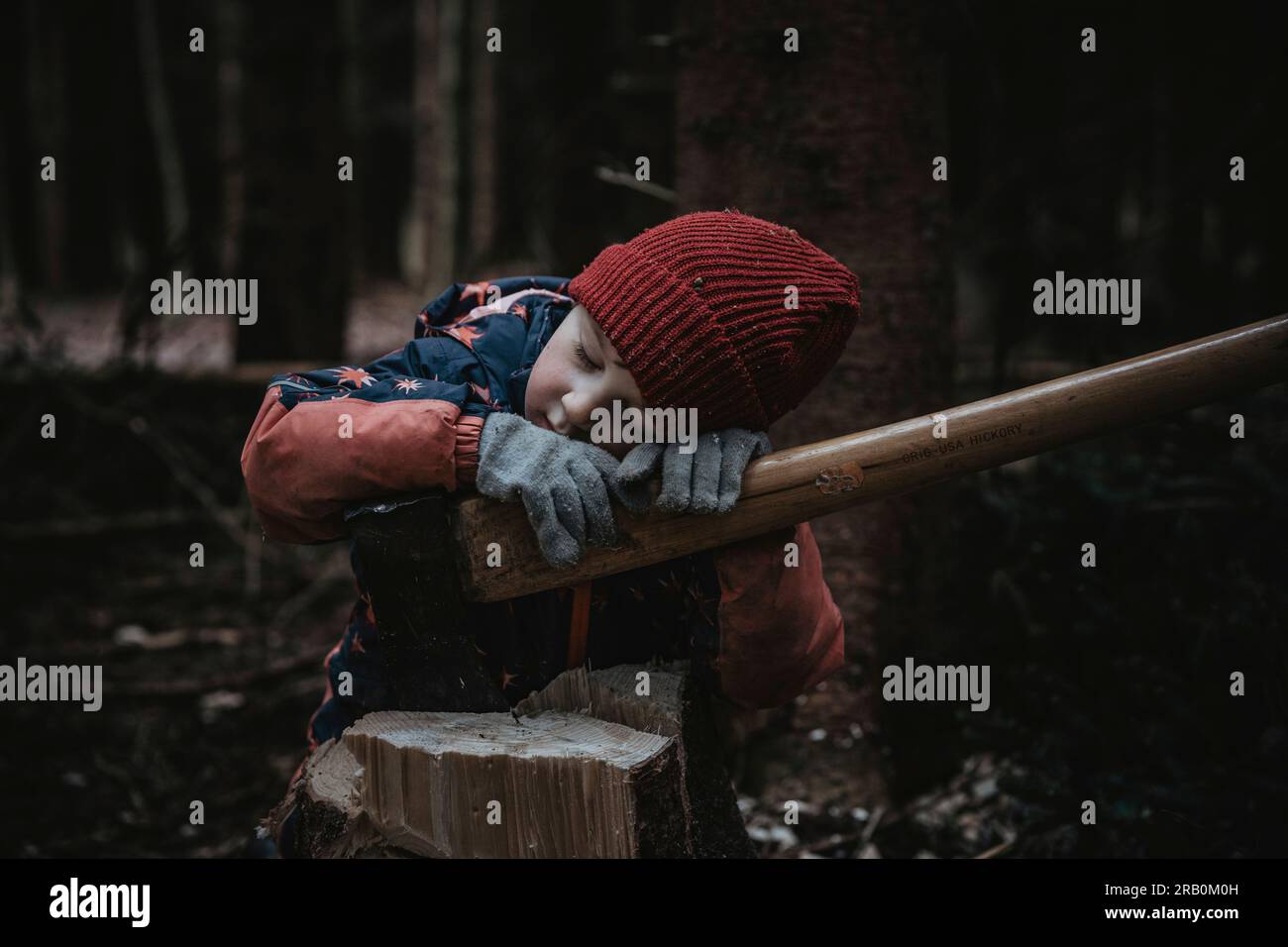 Little boy with axe in forest Stock Photo - Alamy