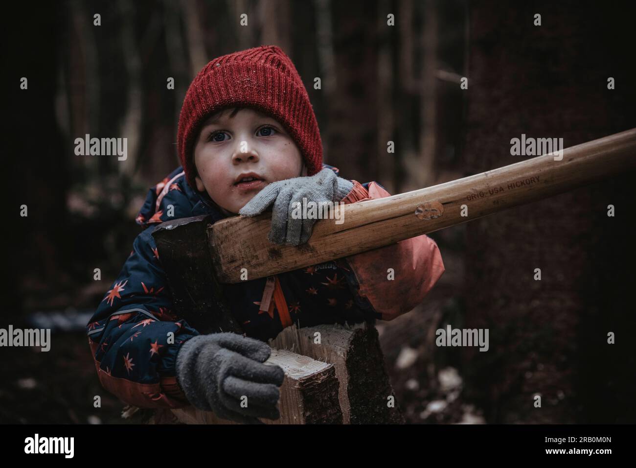 Little boy with axe in forest Stock Photo - Alamy