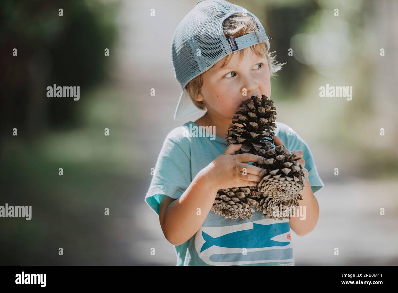 Little boy with pine cone Stock Photo - Alamy