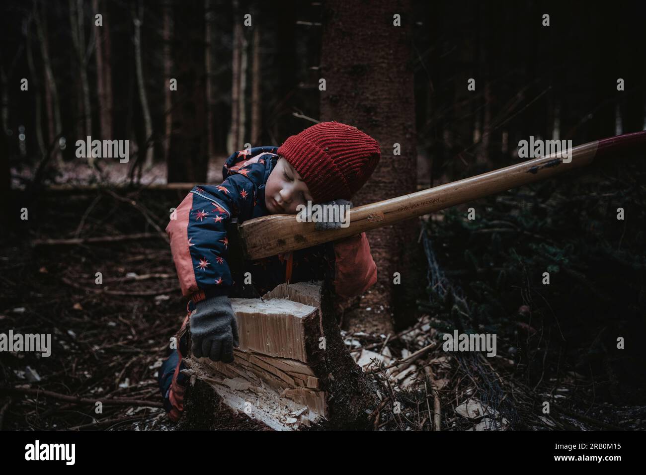 Little boy with axe in forest Stock Photo - Alamy