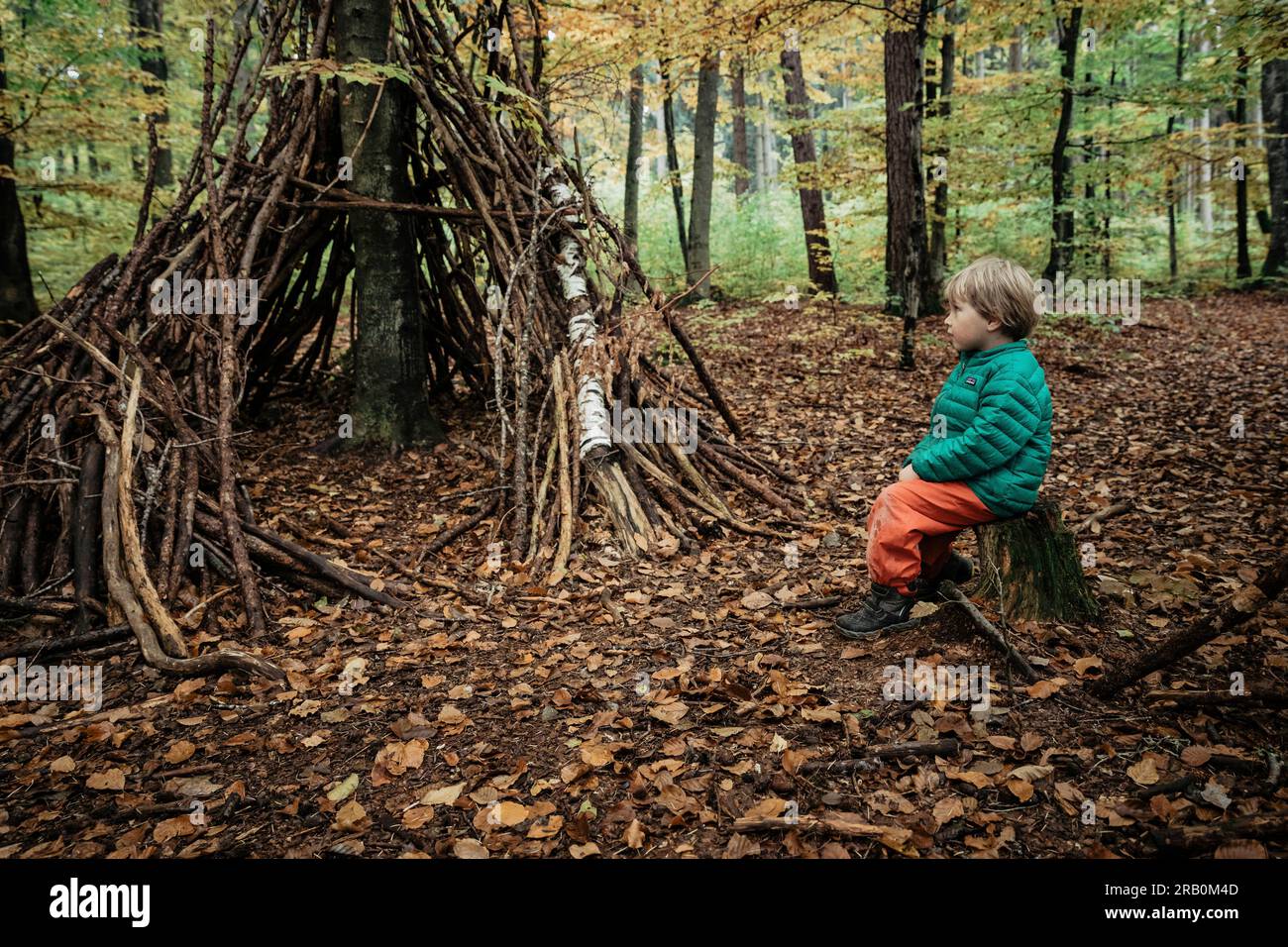 Boy playing with homemade wooden hut in forest Stock Photo - Alamy