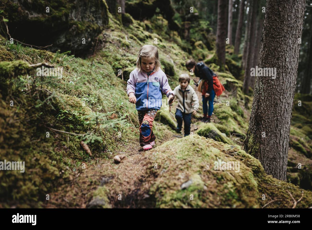 Mother hiking with children in forest Stock Photo - Alamy
