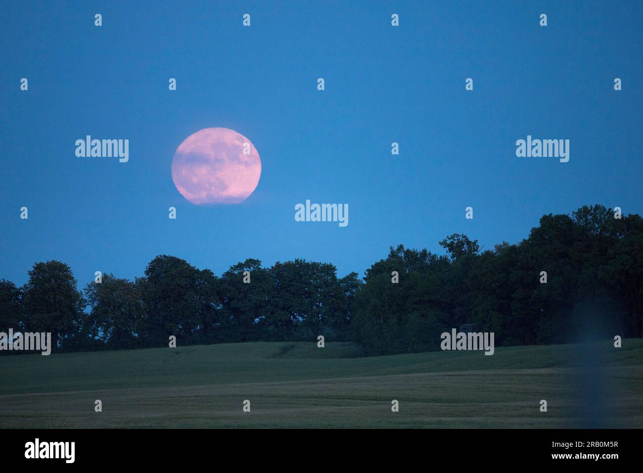 Field full with moon hi-res stock photography and images - Alamy