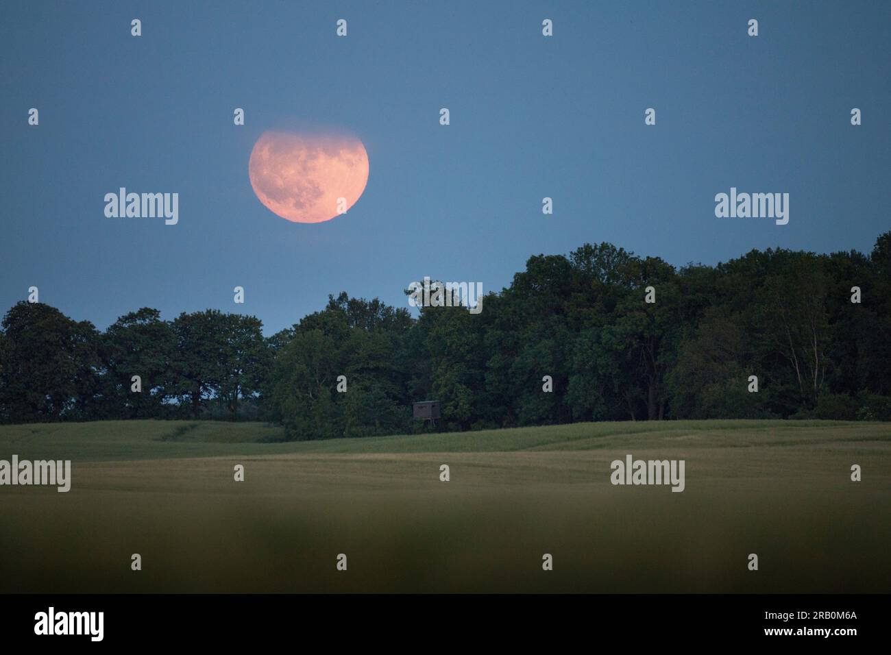 Field full with moon hi-res stock photography and images - Alamy