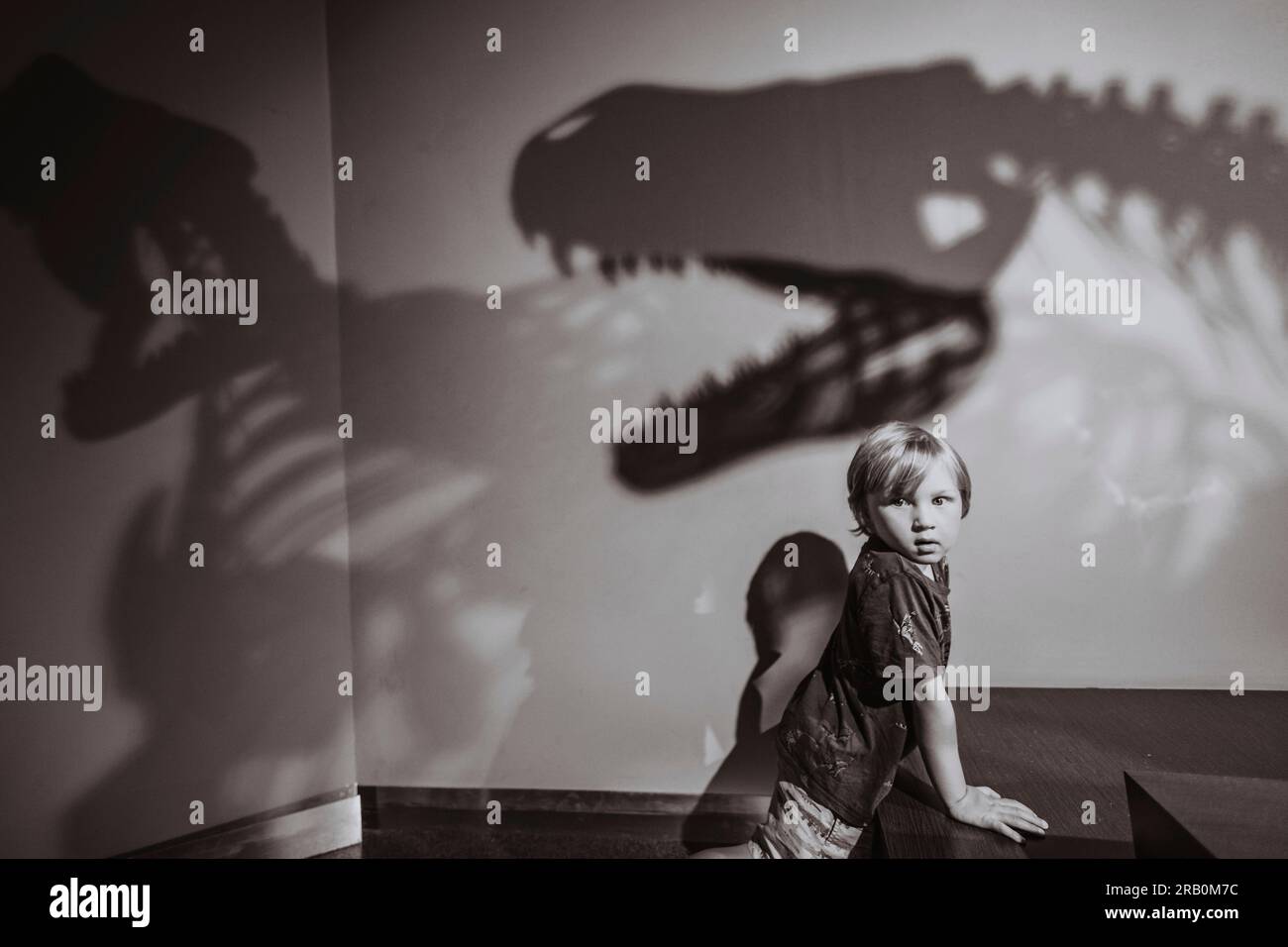 Boy in front of shadow of dinosaur skeleton Stock Photo - Alamy