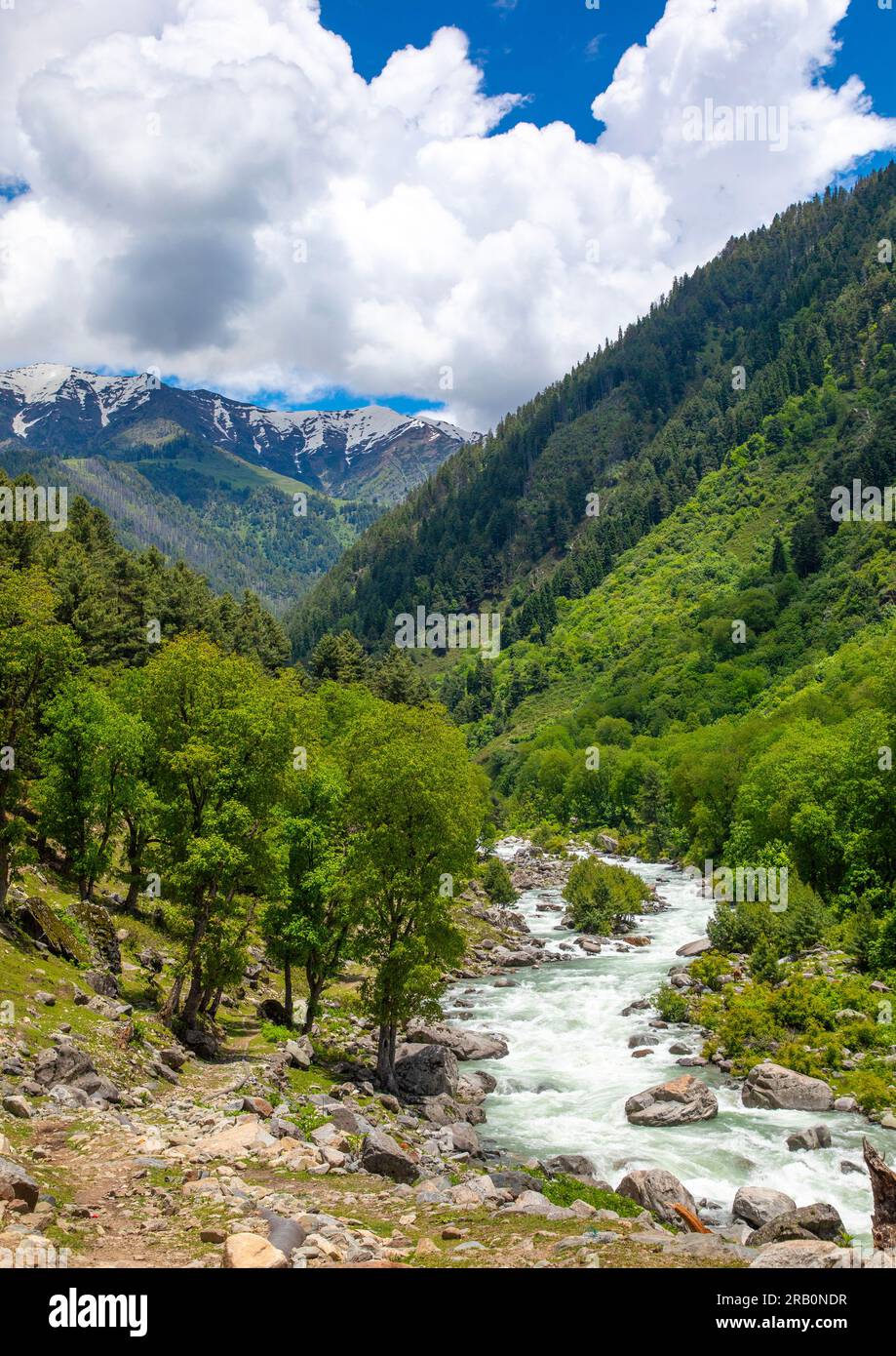 Wangath river in the mountain, Jammu and Kashmir, Kangan, India Stock ...