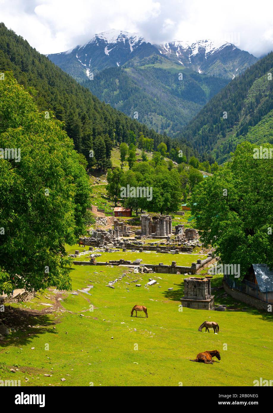 Ruins of Naranag Temple on ancient Hindu pilgrimage site, Jammu and ...