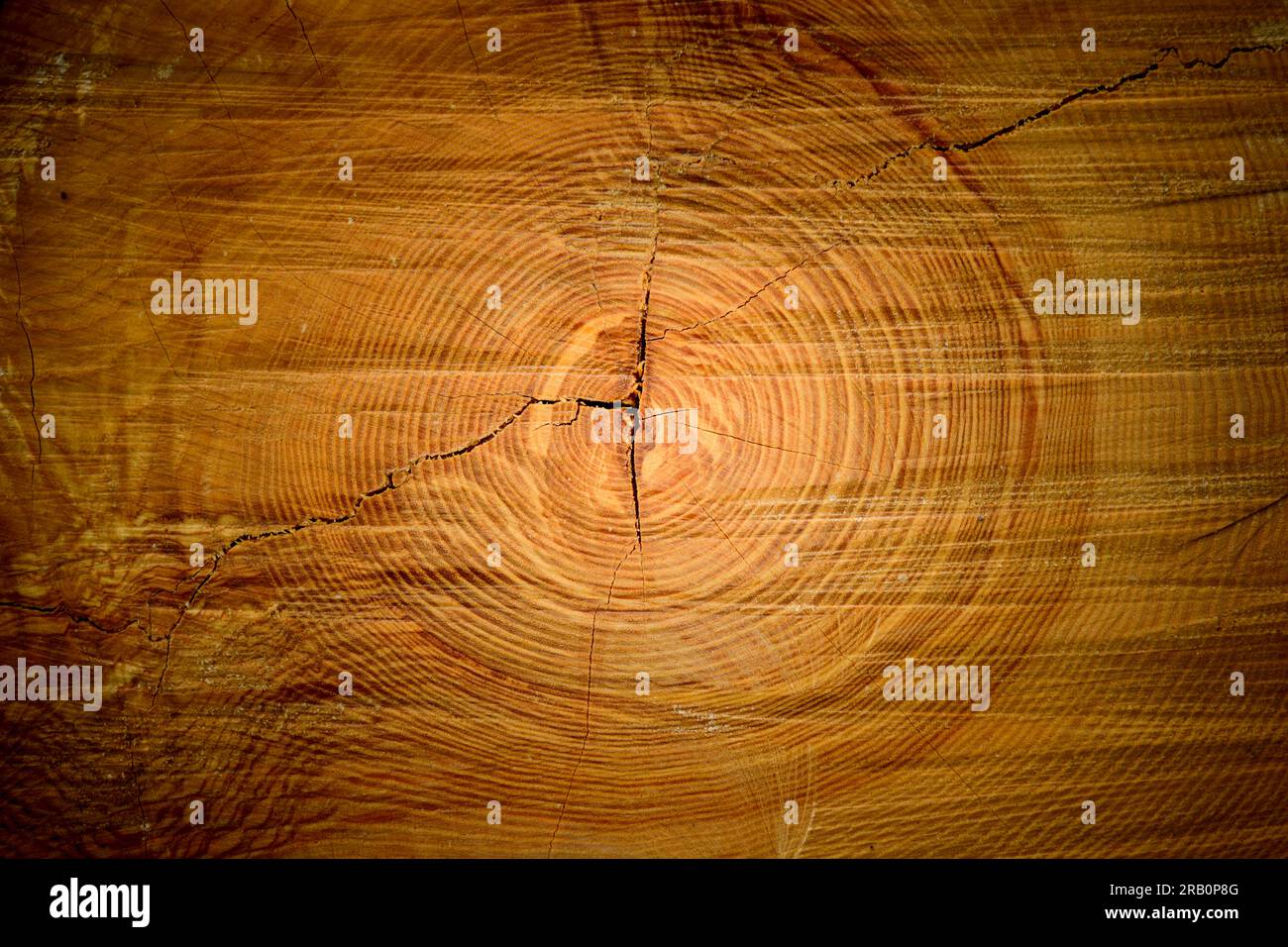 Slice tear hi-res stock photography and images - Alamy