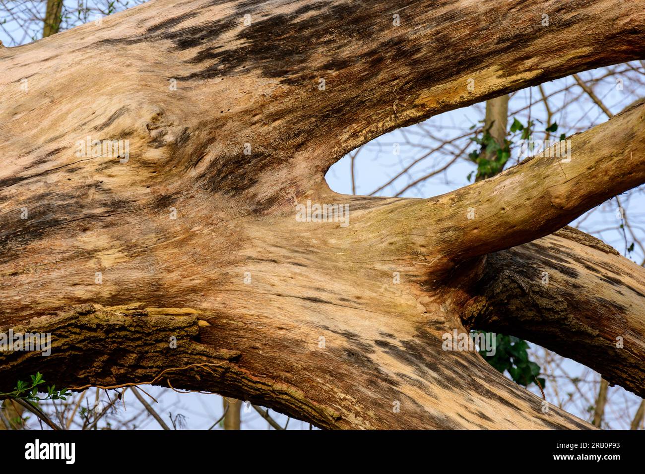 Rip in the structure hi-res stock photography and images - Alamy