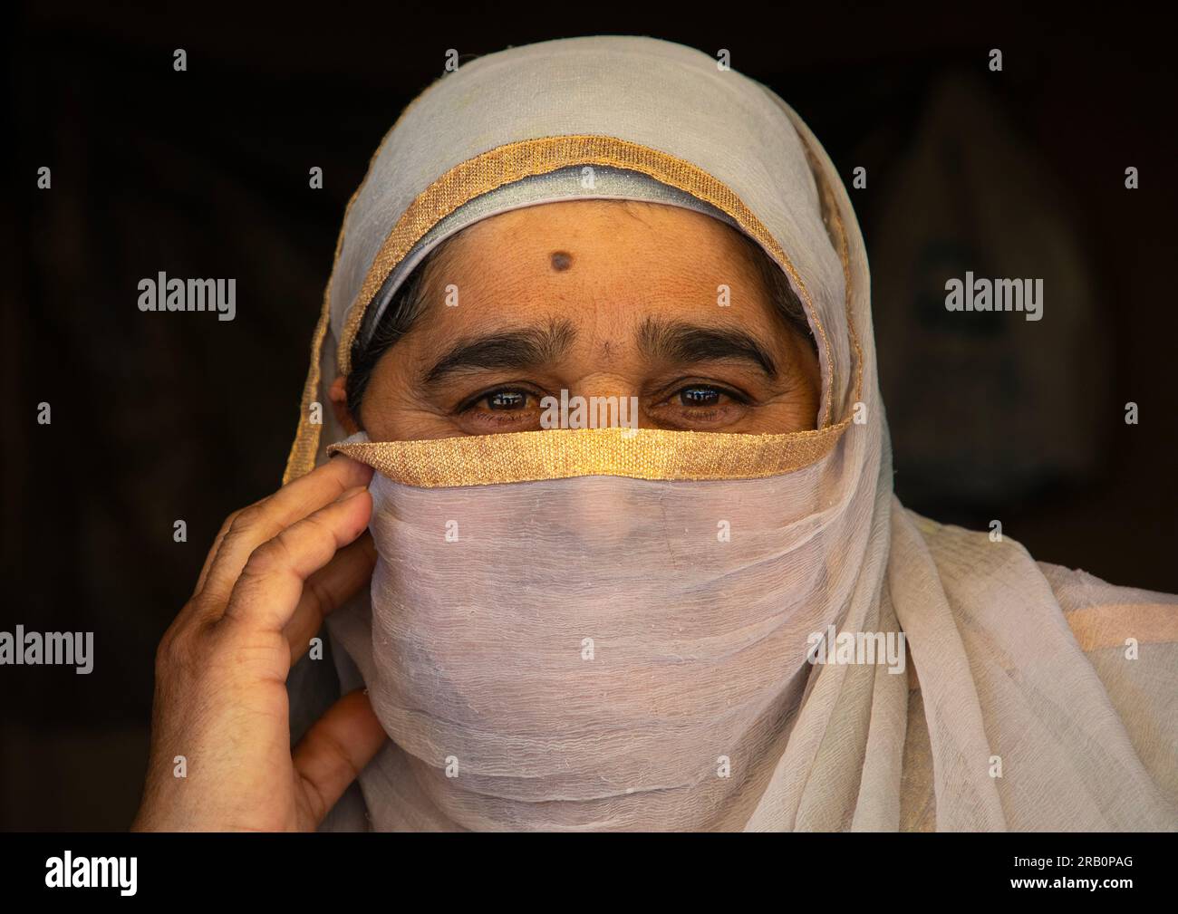 Portrait of a kashmiri veiled woman, Jammu and Kashmir, Charar- E ...