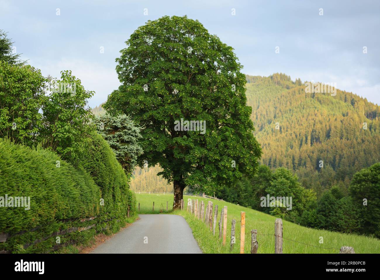 Road pass view to walkway and mountains Stock Photo - Alamy