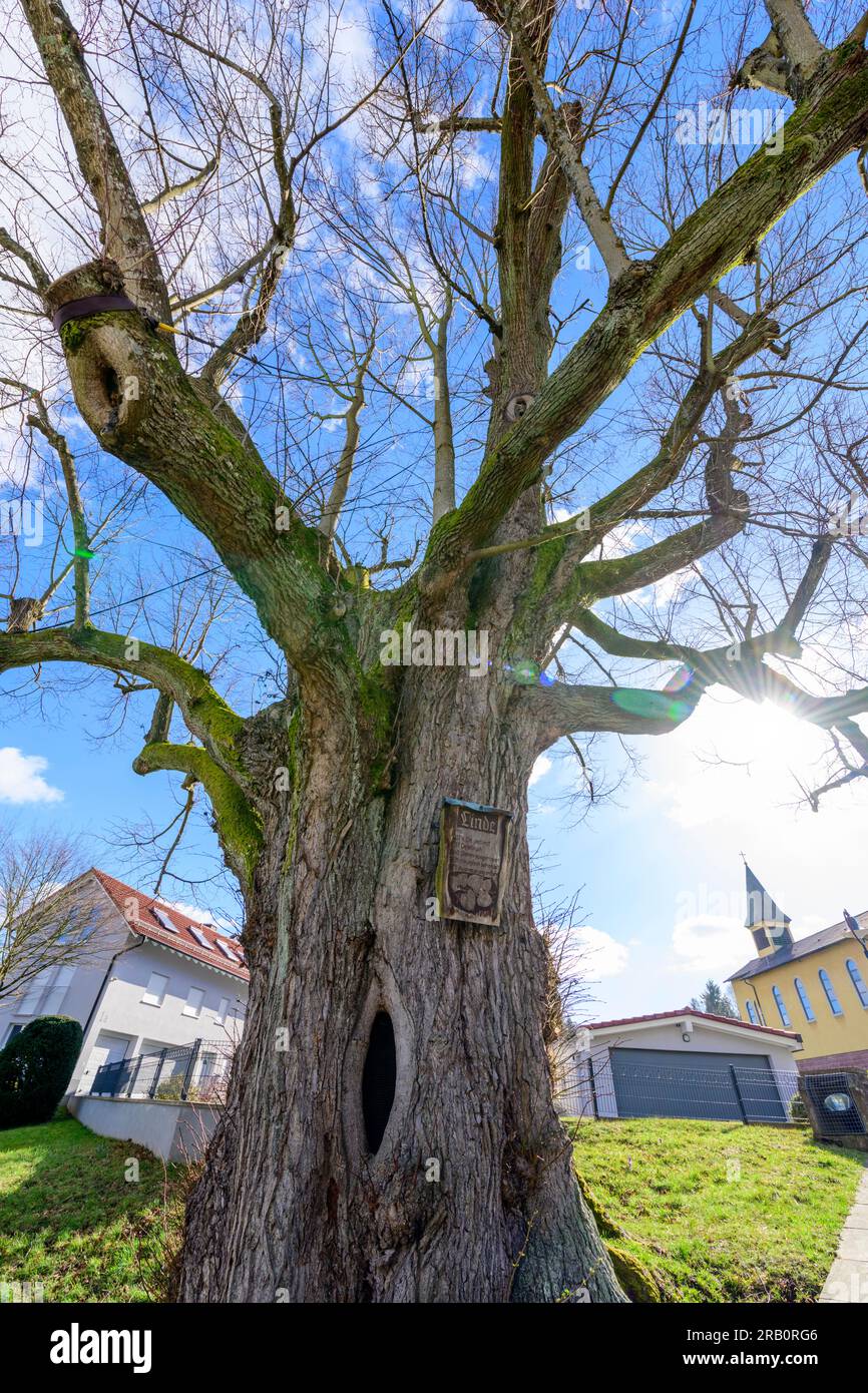 Germany, Baden-Württemberg, Ettlingen-Schluttenbach, 1100 years old ...