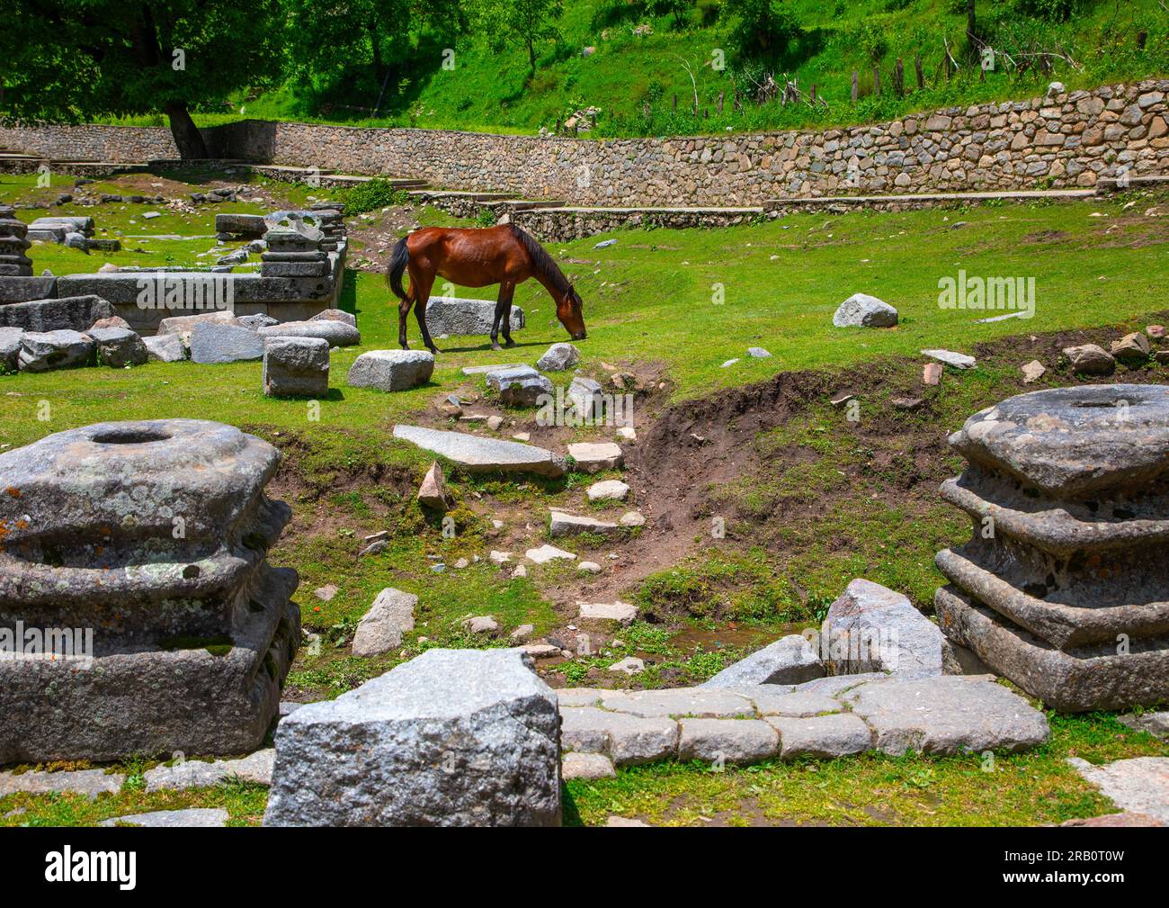 Ruins of Naranag Temple on ancient Hindu pilgrimage site, Jammu and ...