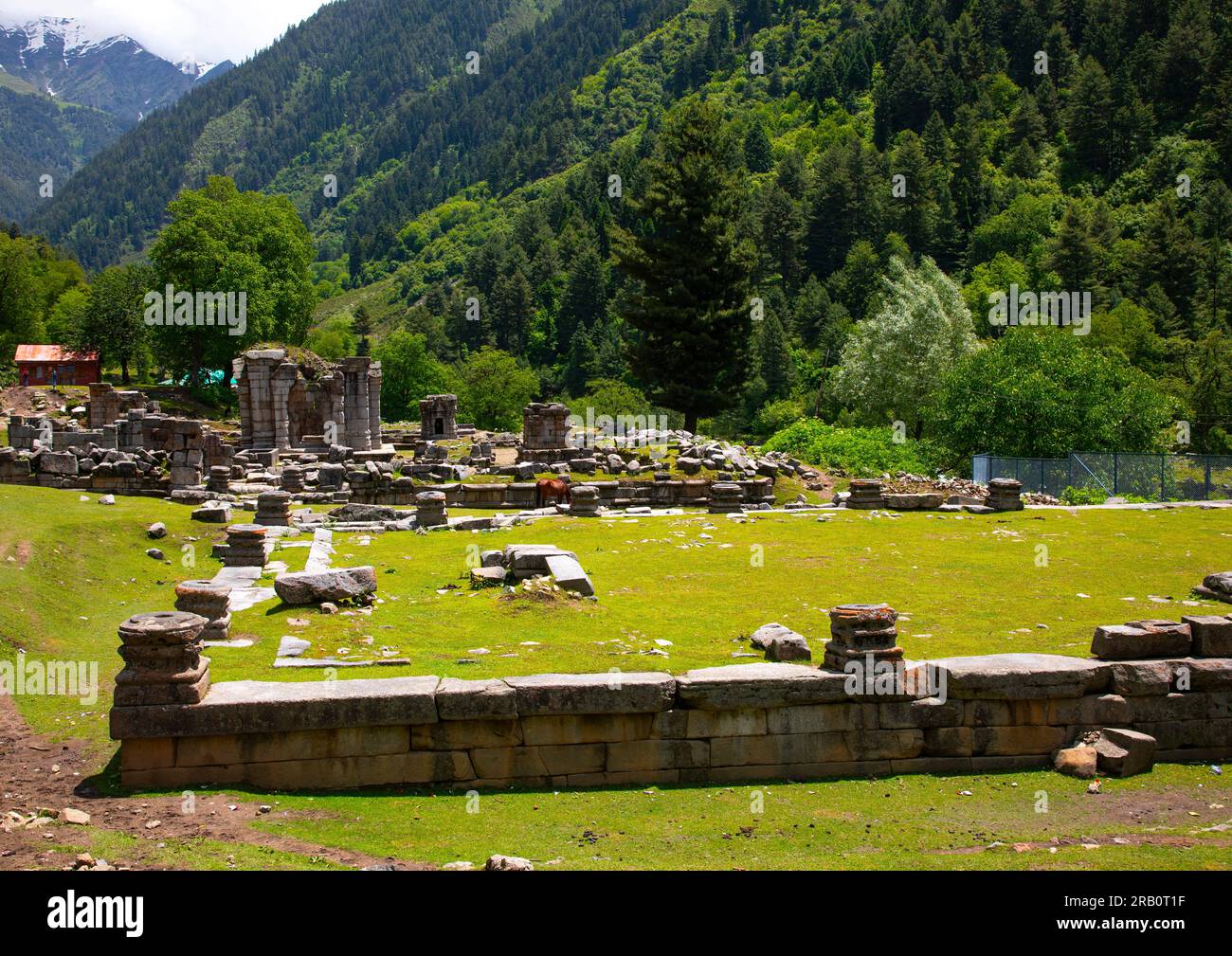 Ruins of Naranag Temple on ancient Hindu pilgrimage site, Jammu and ...