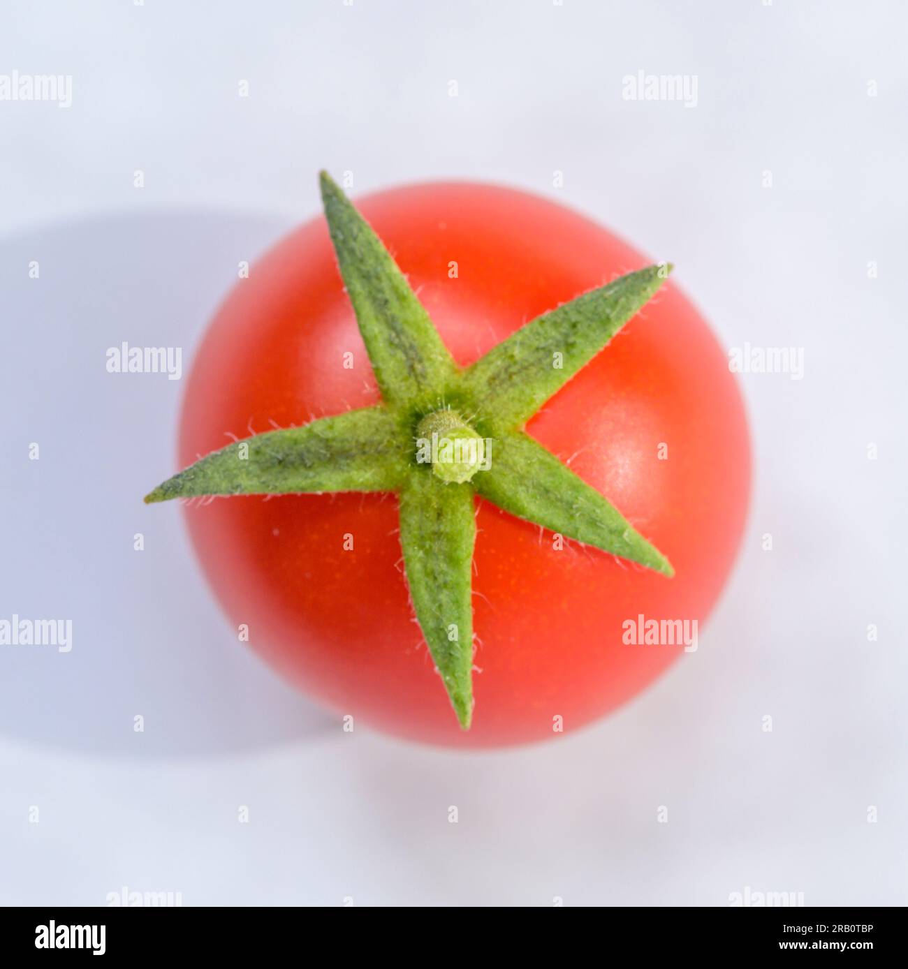 Tomato (Solanum lycopersicum) from above Stock Photo - Alamy