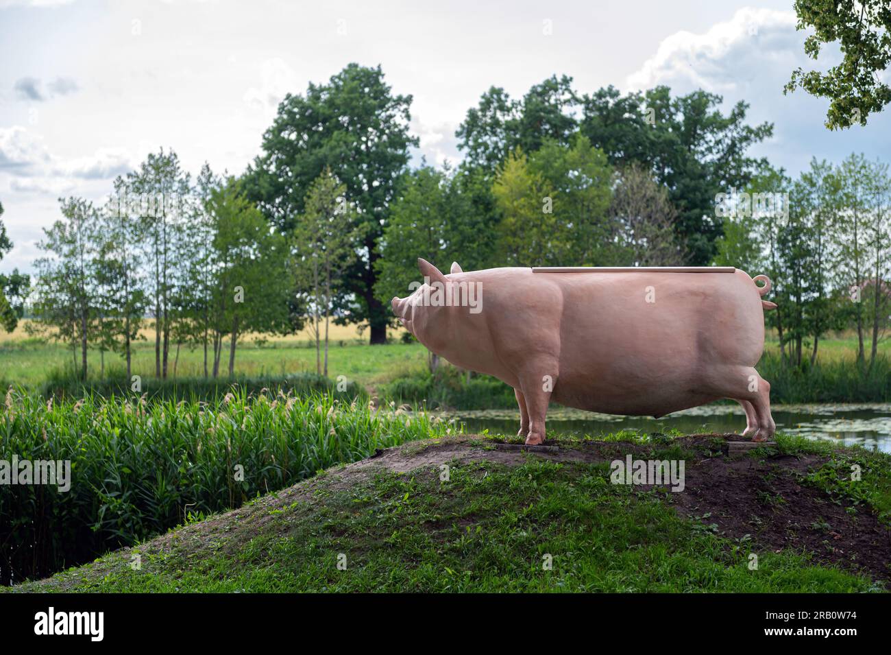 Pig bench hi-res stock photography and images - Alamy