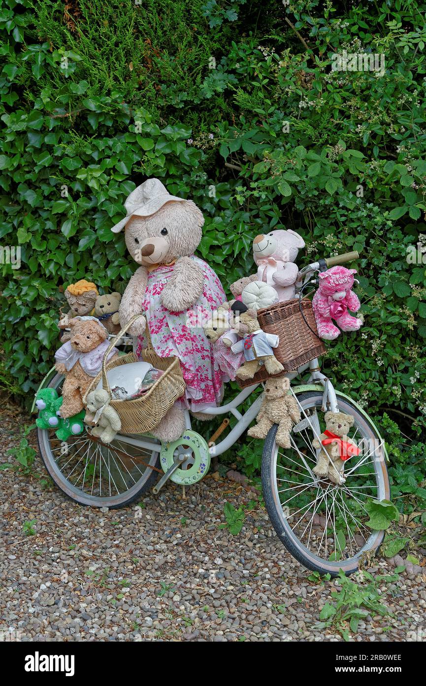 A Group of 14 Teddy Bears on an Old Bicycle on a garden path in the UK ...