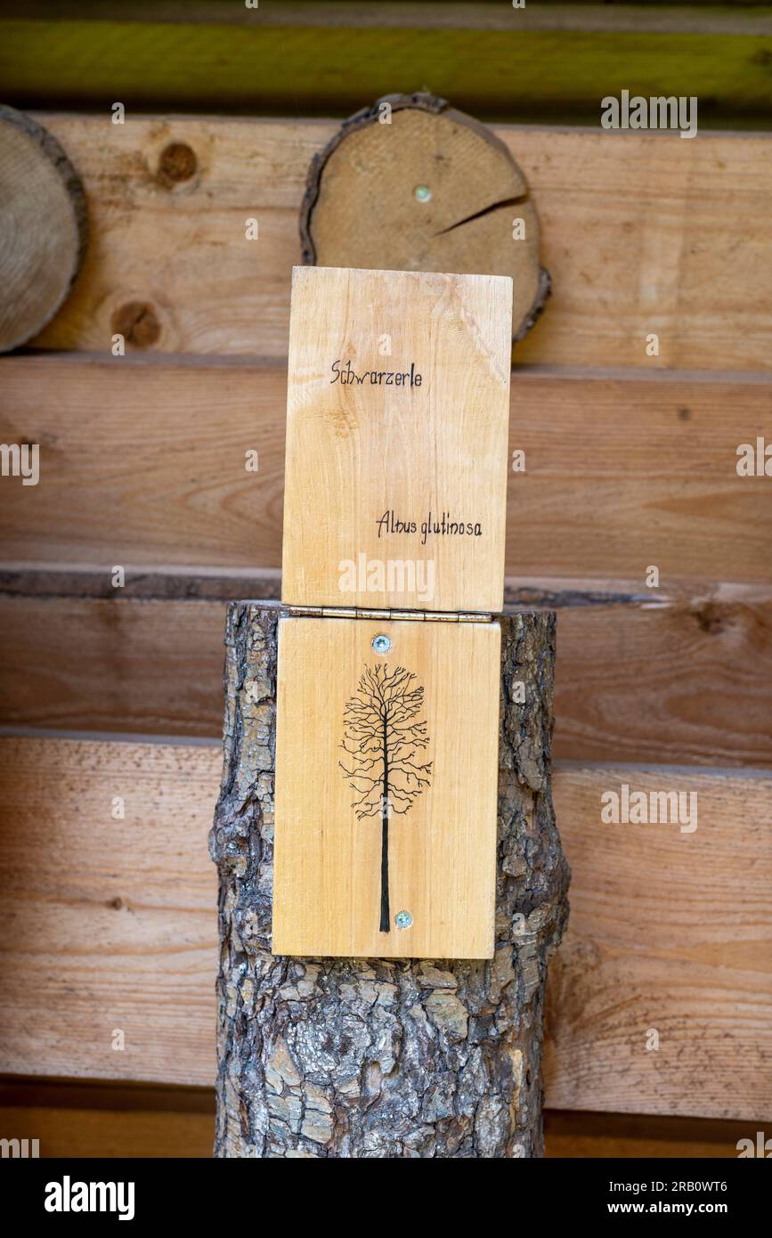 Black alder, nature trail, Haldensleben, Saxony-Anhalt, Germany Stock ...