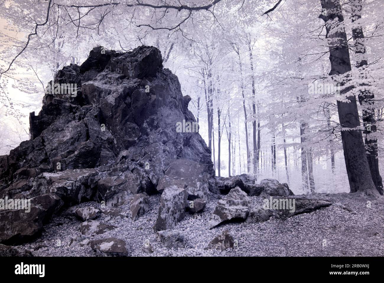 Europe, Germany, Hesse, Central Hesse, Lahn-Dill-Bergland Nature Park ...