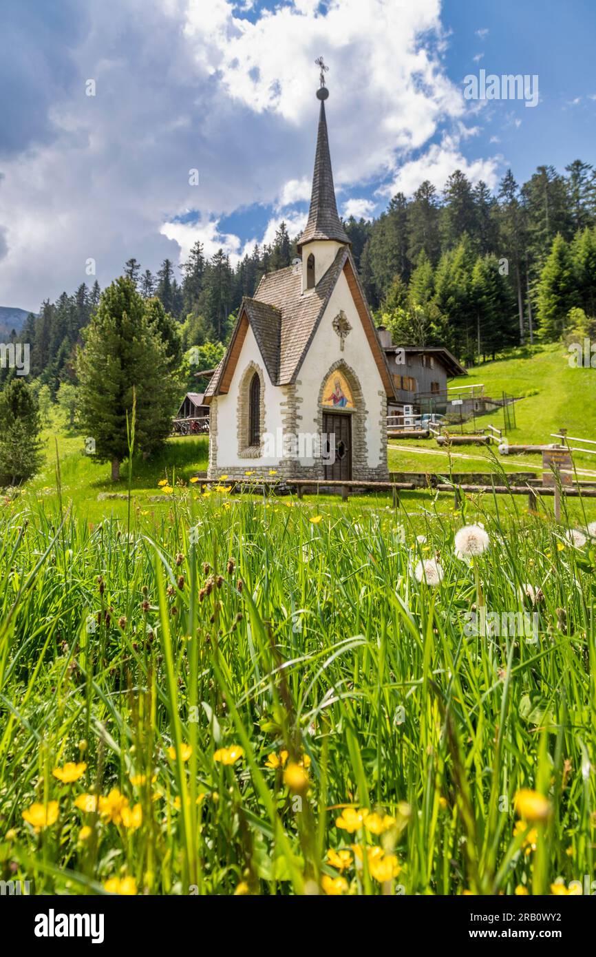 Italy, Trentino, province of Trento, municipality of Imer, the alpine ...