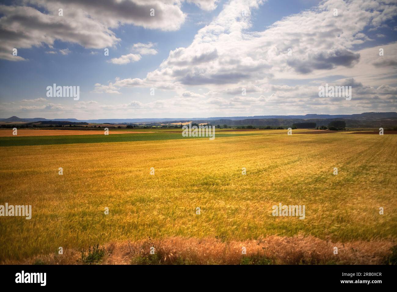 Sigüenza medieval train, from Madrid Chamartin station to the city of ...