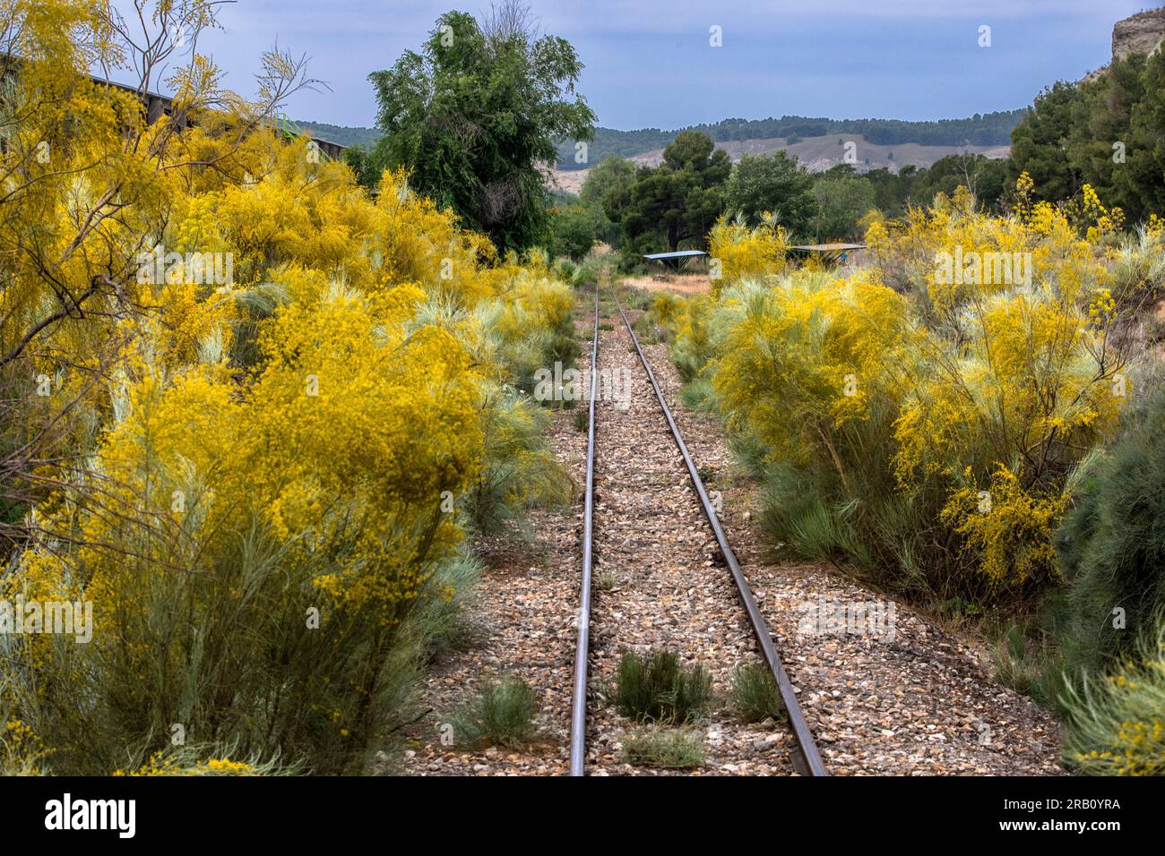 Laguna del Campillo, Rivas Vaciamadrid, El Tren de Arganda train or ...