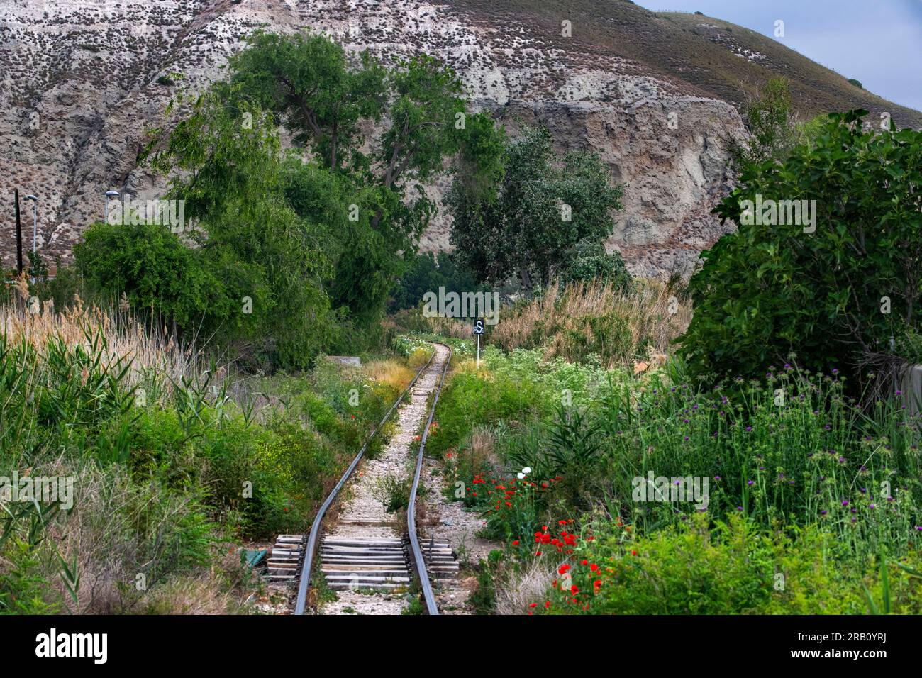 Laguna del Campillo, Rivas Vaciamadrid, El Tren de Arganda train or ...