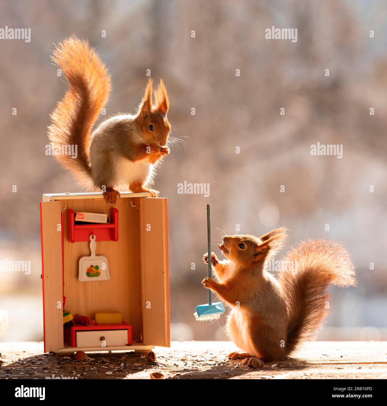 Broom storage hi-res stock photography and images - Alamy