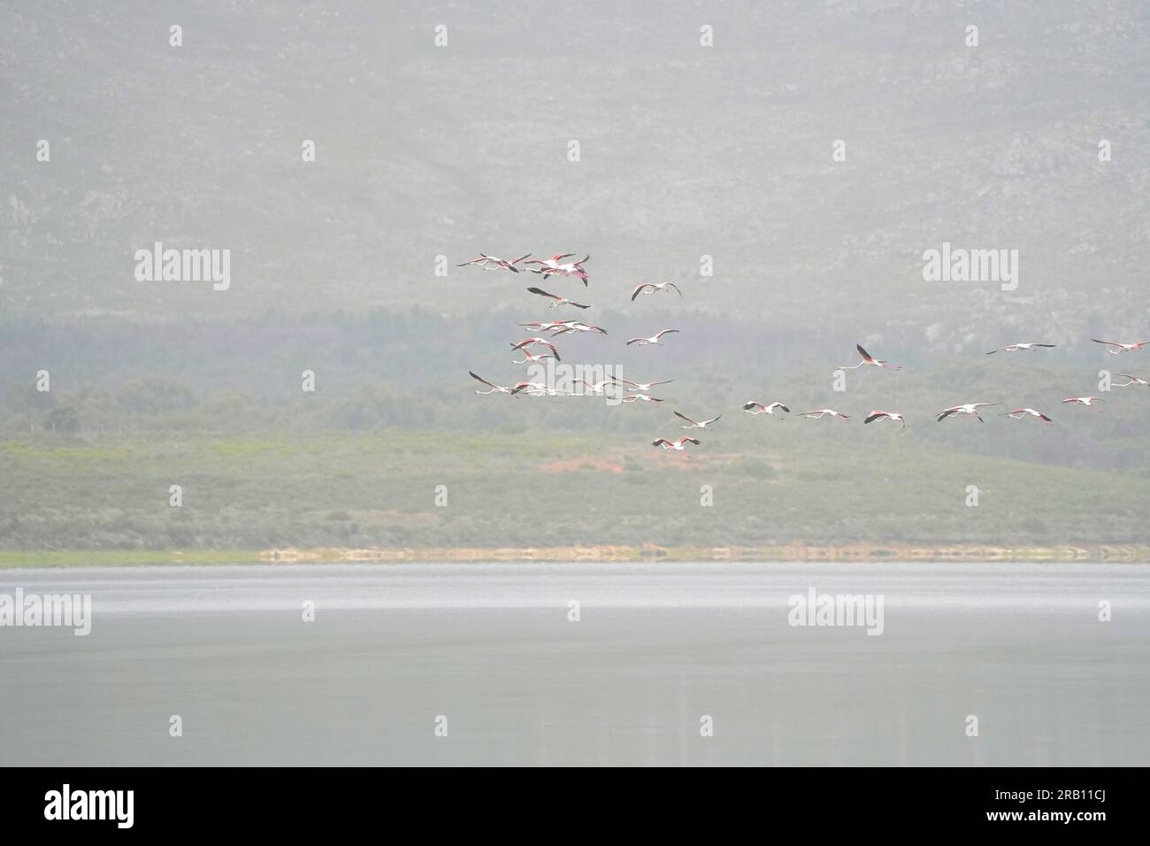 Flying across river hi-res stock photography and images - Alamy